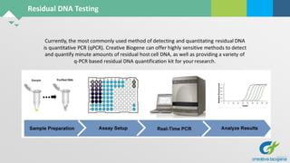 Analytical testing services | PDF