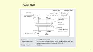 Analytical tests for cereals and their products | PPT