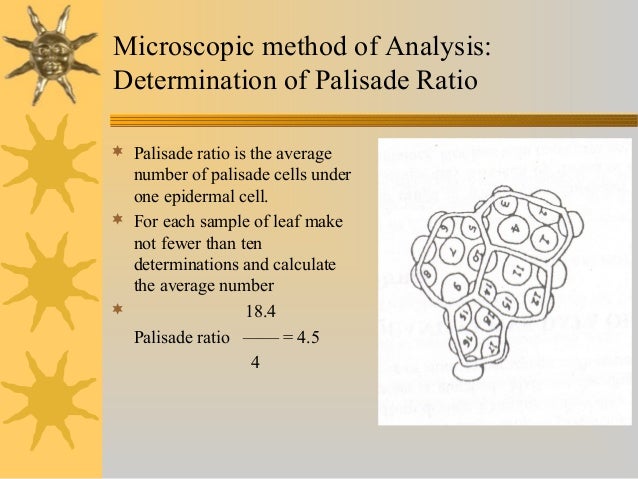 Analytical, toxicity, experimental and clinical validation of ayurved…