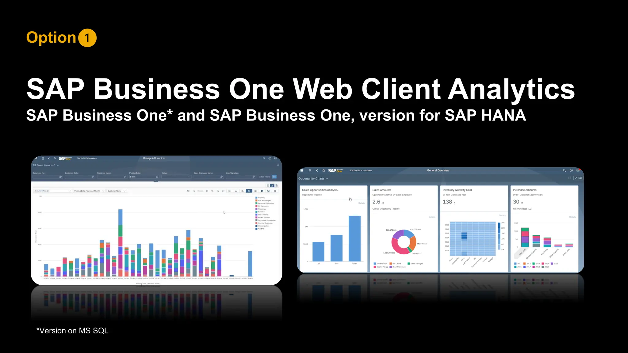 Analytics_and_Reporting_for_SAP_Business_One.pdf