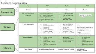 Analytics audience segmentation study