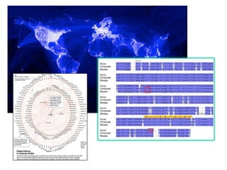 Introduction to Advance Analytics Course | PPT