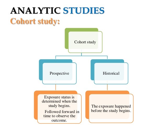 Analytic studies