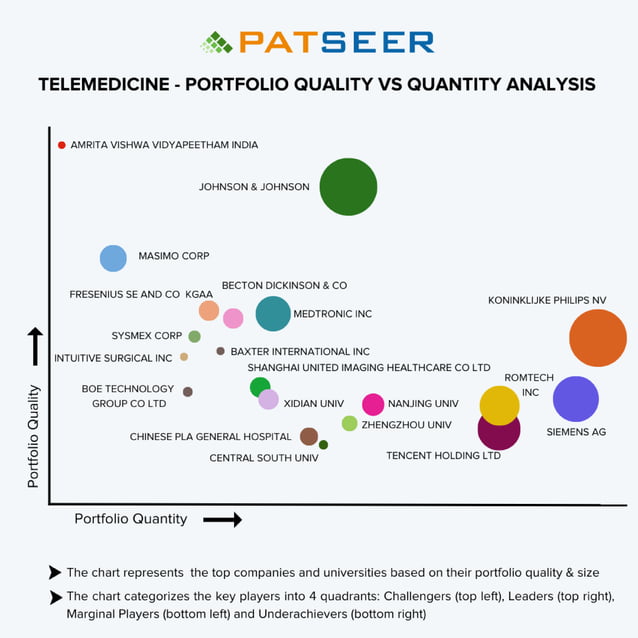 Analyze patent portfolios with PatSeer's charts | PDF