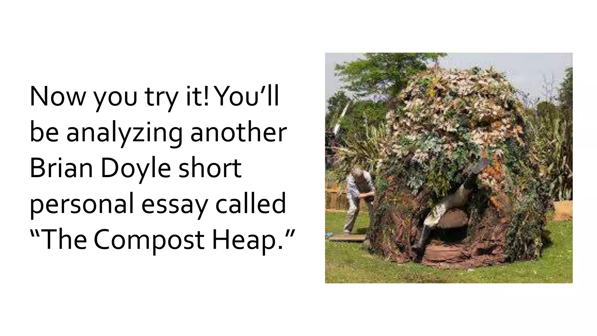 Analyzing Personal Essays, pt. 1: The Situation and the Story | PPTX