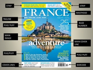 Analyzing A Magazine Cover | PPT