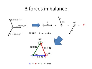Analyzing forces in equilibrium | PPTX
