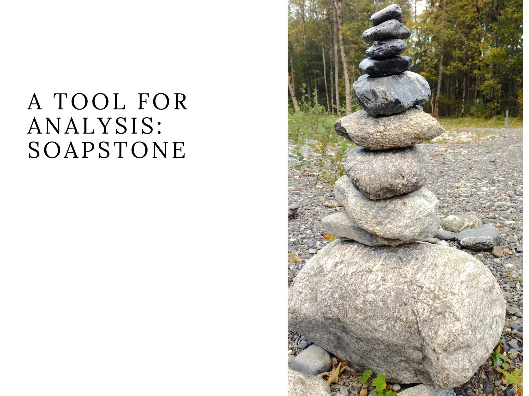 Analyzing nonfiction and rhetoric 3 (soaps tone) (1) | PDF