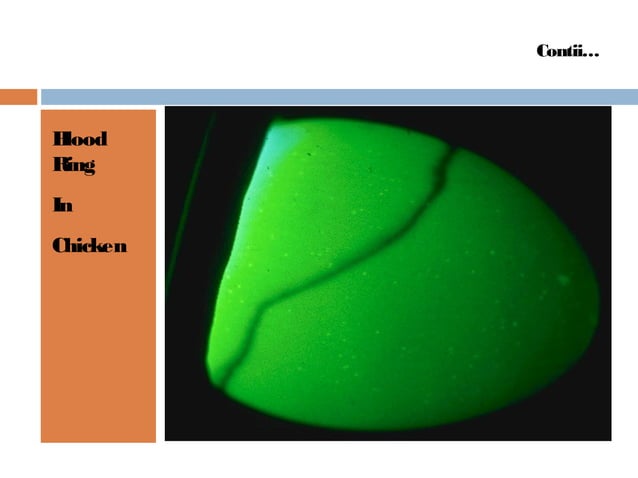 Analyzing poor hatchability | PPT