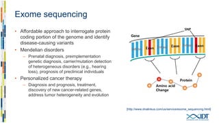 Analyzing the exome—focusing your NGS analysis with high performance ...