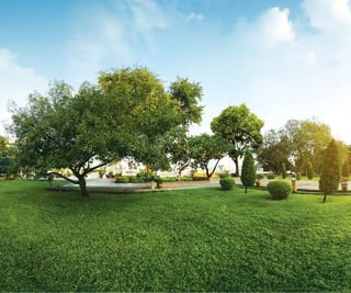 Anam 1 brochure | PDF