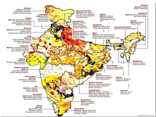 INDIAN CUISINE | PPTX
