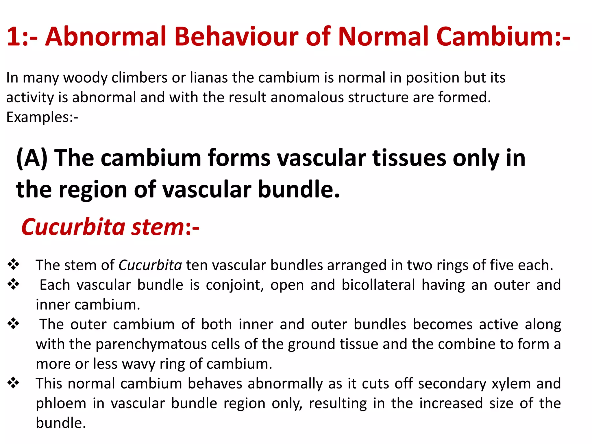Anamalous secondary growth | PPTX