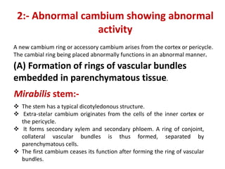 Anamalous secondary growth | PPTX