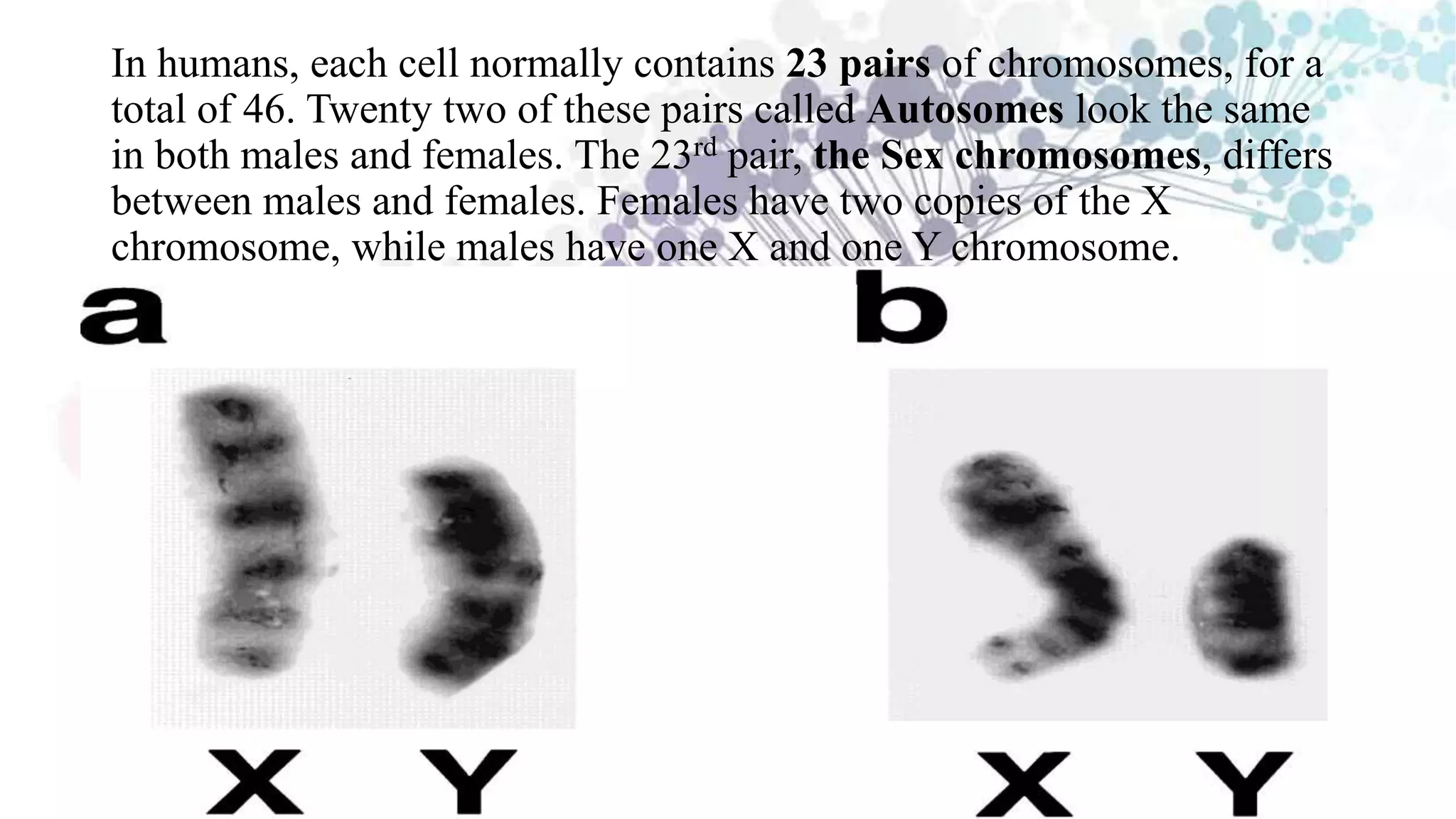 Basic concepts of Genes, Chromosomes & DNA: Human Genome Project | PPTX