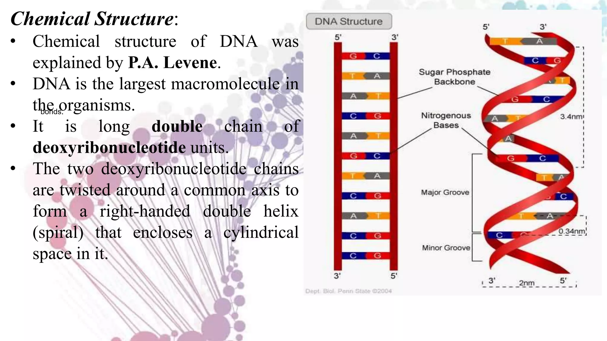 Basic concepts of Genes, Chromosomes & DNA: Human Genome Project | PPTX