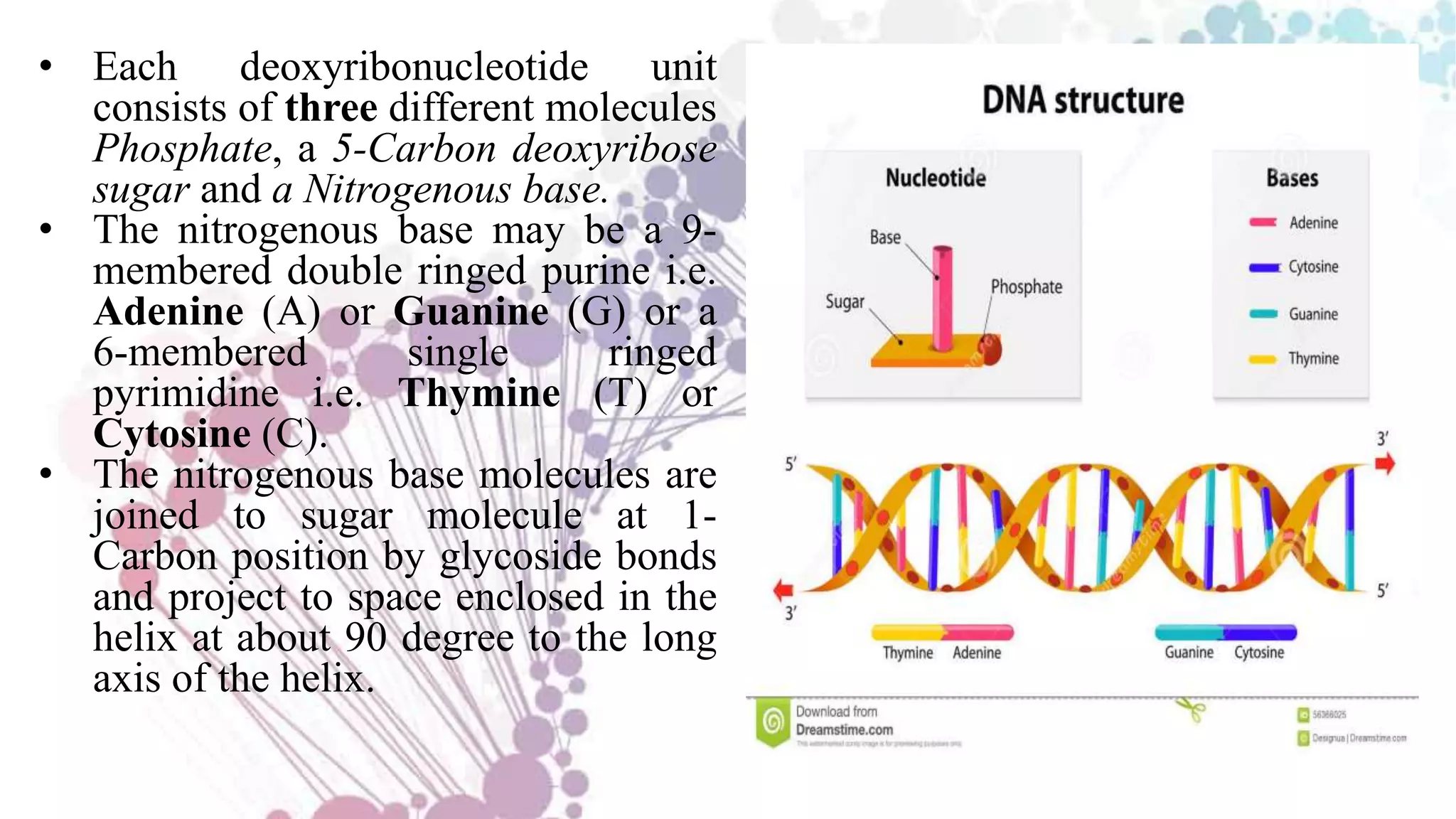 Basic concepts of Genes, Chromosomes & DNA: Human Genome Project | PPTX