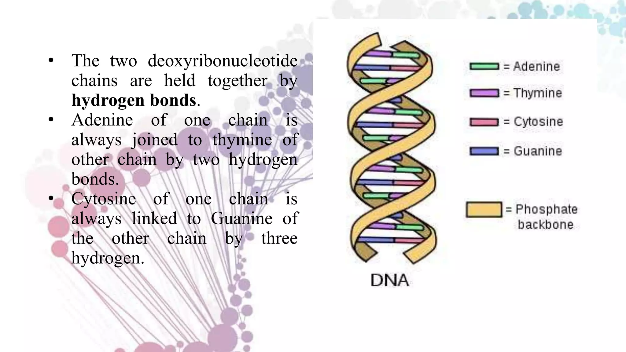 Basic concepts of Genes, Chromosomes & DNA: Human Genome Project | PPTX