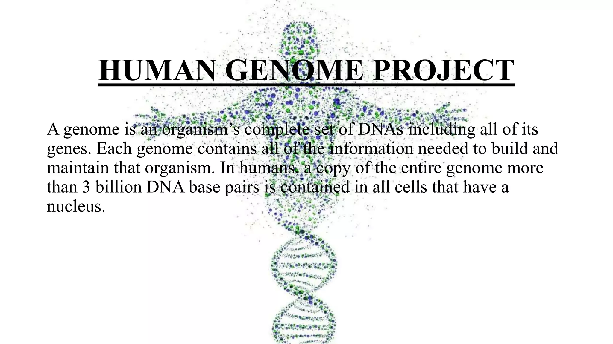 Basic concepts of Genes, Chromosomes & DNA: Human Genome Project | PPTX ...