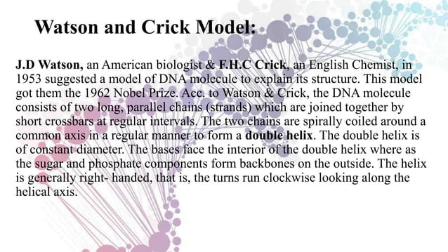 Basic concepts of Genes, Chromosomes & DNA: Human Genome Project | PPTX ...