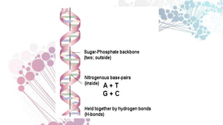 Basic concepts of Genes, Chromosomes & DNA: Human Genome Project | PPTX