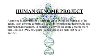 Basic concepts of Genes, Chromosomes & DNA: Human Genome Project | PPTX