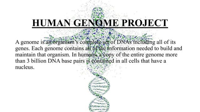 Basic concepts of Genes, Chromosomes & DNA: Human Genome Project | PPTX ...
