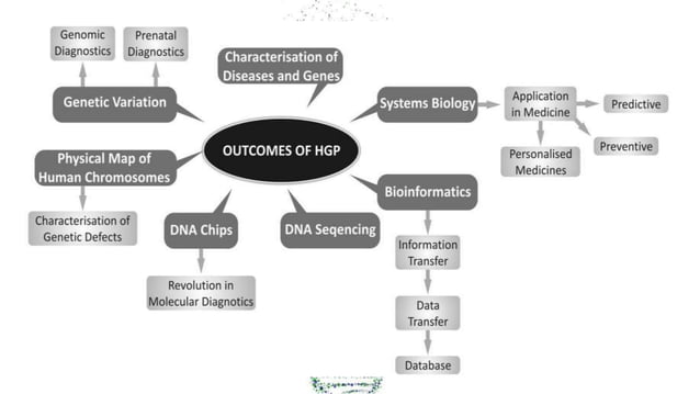 Basic concepts of Genes, Chromosomes & DNA: Human Genome Project | PPTX ...