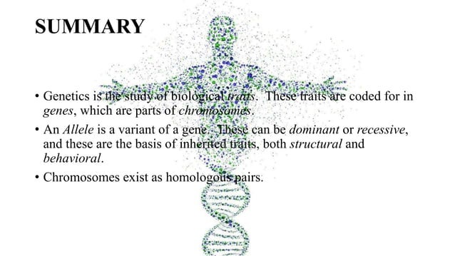 Basic concepts of Genes, Chromosomes & DNA: Human Genome Project | PPTX ...