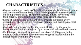 Basic concepts of Genes, Chromosomes & DNA: Human Genome Project | PPTX