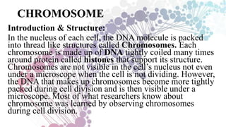 Basic concepts of Genes, Chromosomes & DNA: Human Genome Project | PPTX