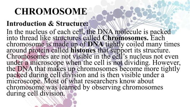 Basic concepts of Genes, Chromosomes & DNA: Human Genome Project | PPTX ...
