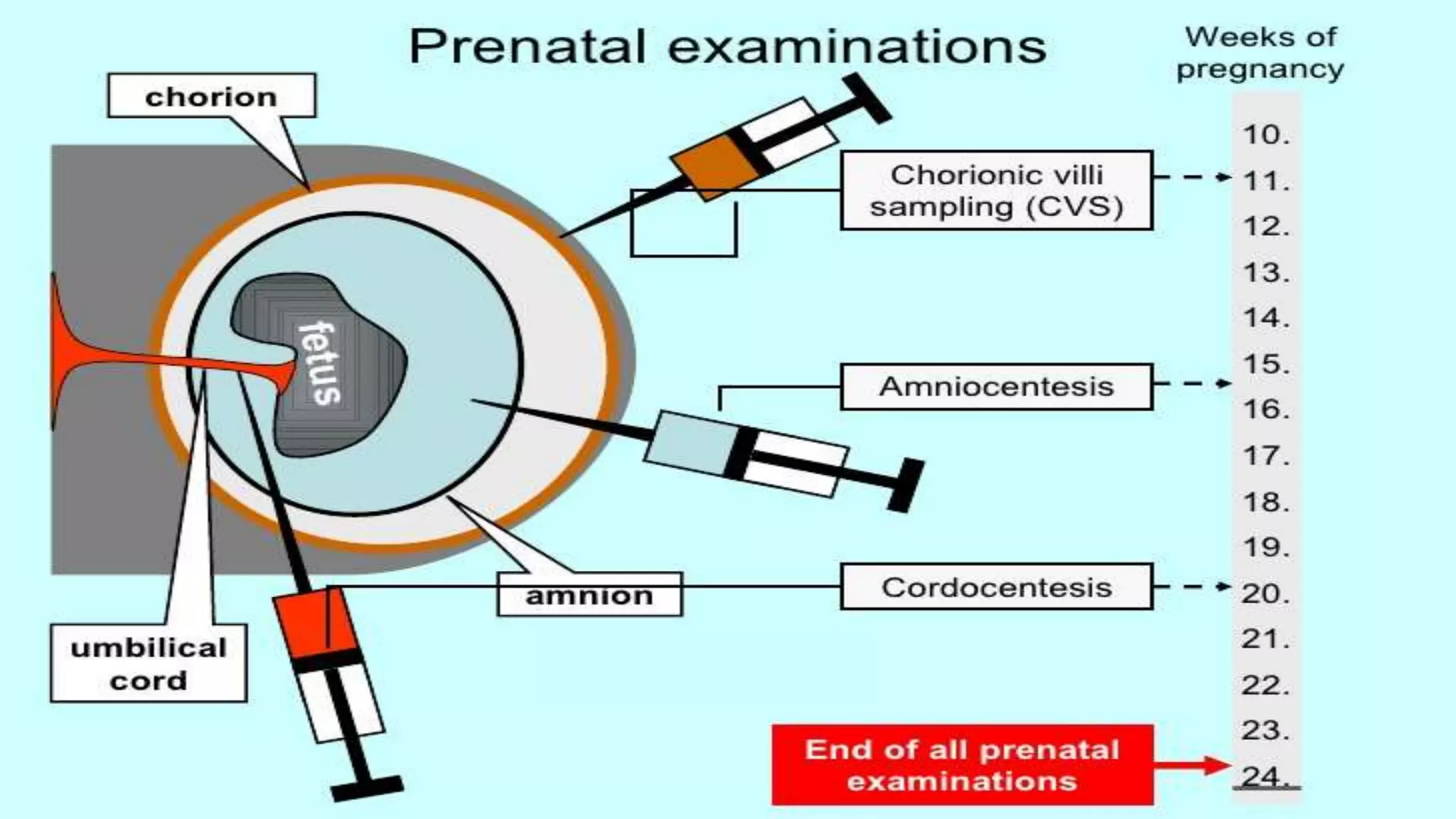 High-risk approach with screening and assessment | PPTX