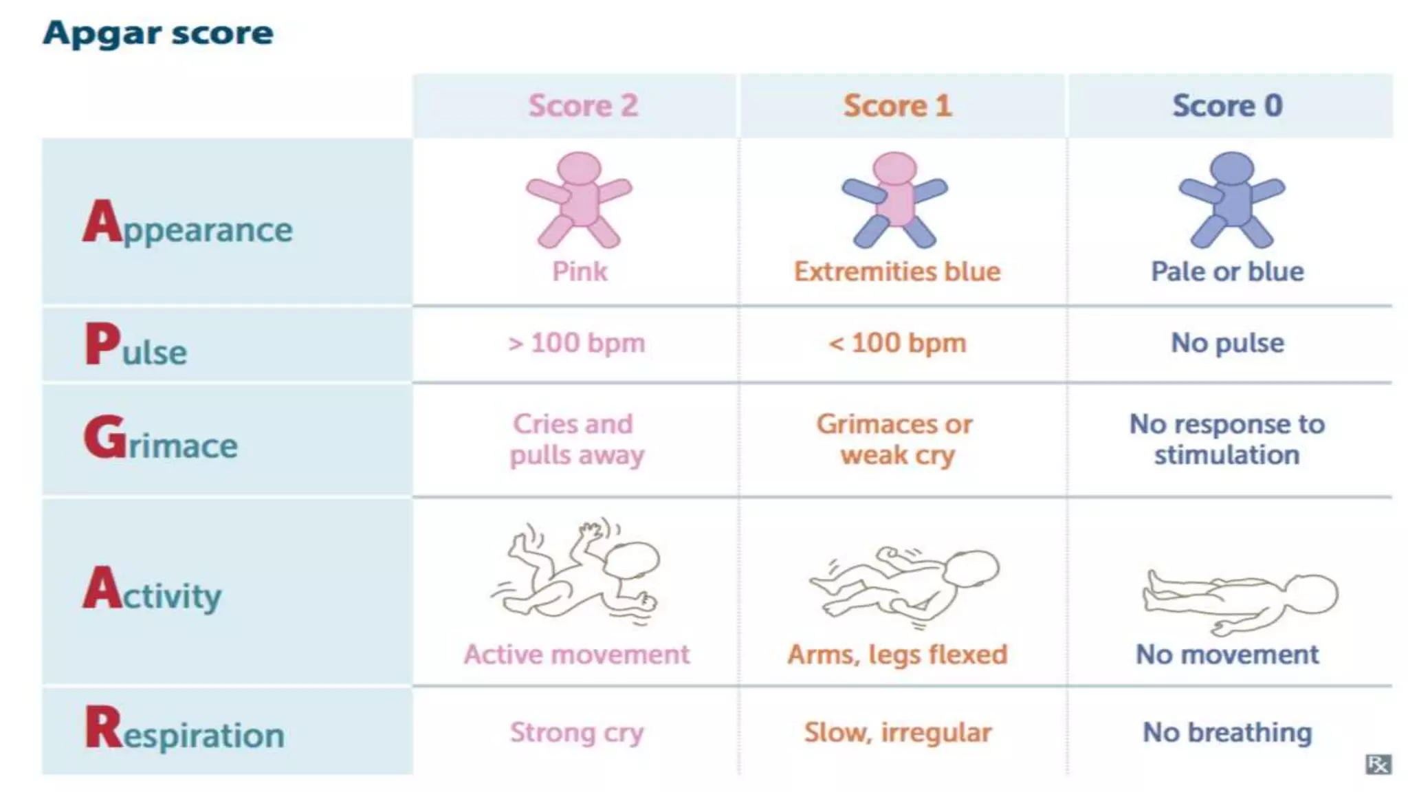 Immediate Nursing care of a newborn | PPTX