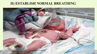 Immediate Nursing care of a newborn | PPTX