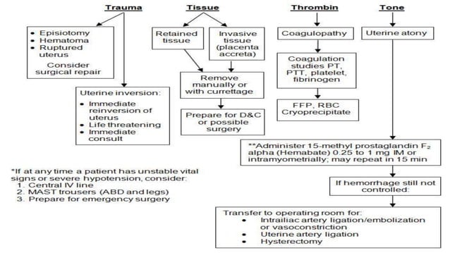 anamika-postpartumhemorrhage-180803160648 2.pdf