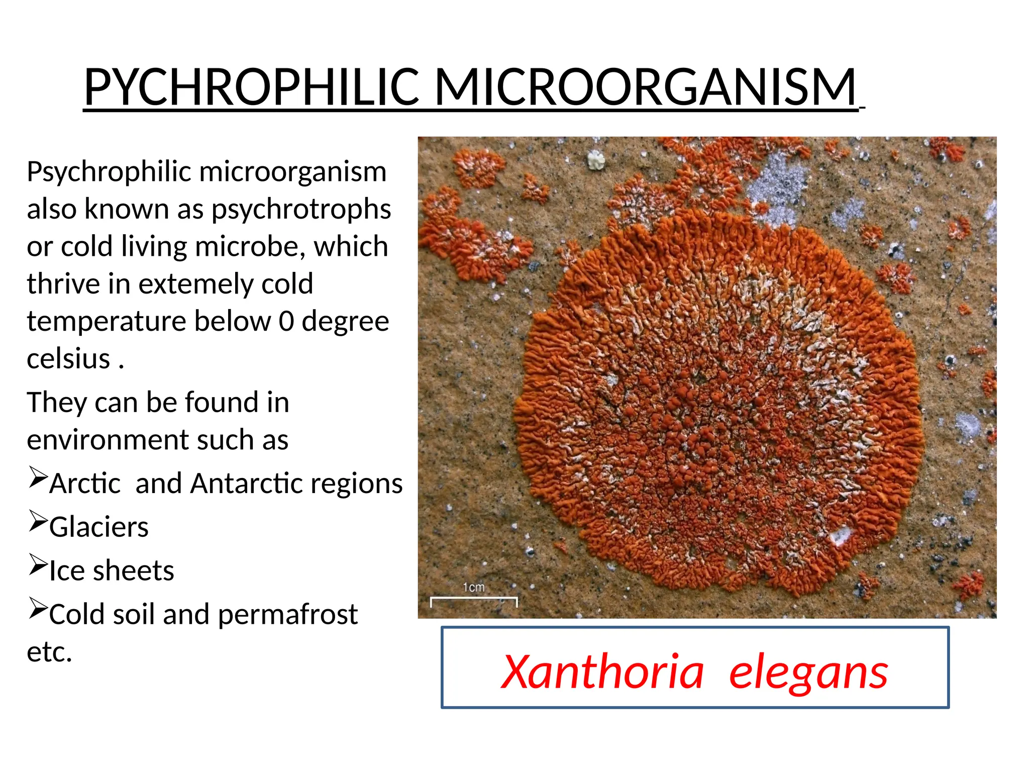Microorganisms in Extreme Environment... | PPTX