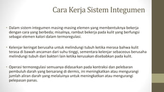 Anamnesa Sistem Integumen | PPTX