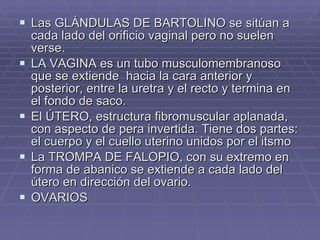 Anamnesis aparato reproductor femenino | PPT