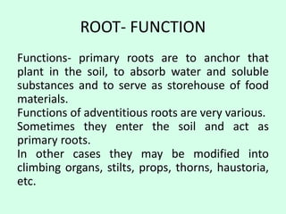 ANAMOLOUS SECONDARY GROWTH IN DICOT ROOTS.pptx