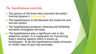 Topic of presentation Hypothalamus | PPTX