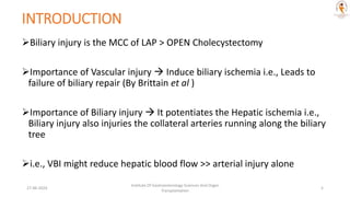 An Analytical review of Vasculobiliary Injury in Laparoscopic.pptx