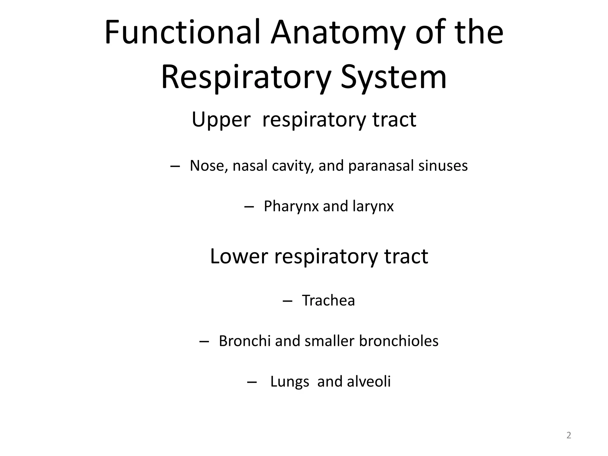 Anatomy of the respiratory system | PPTX