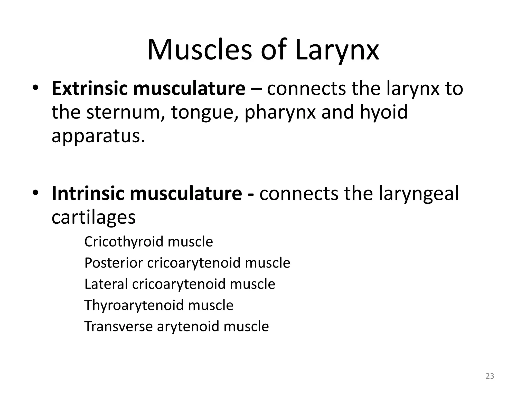 Anatomy of the respiratory system | PPTX