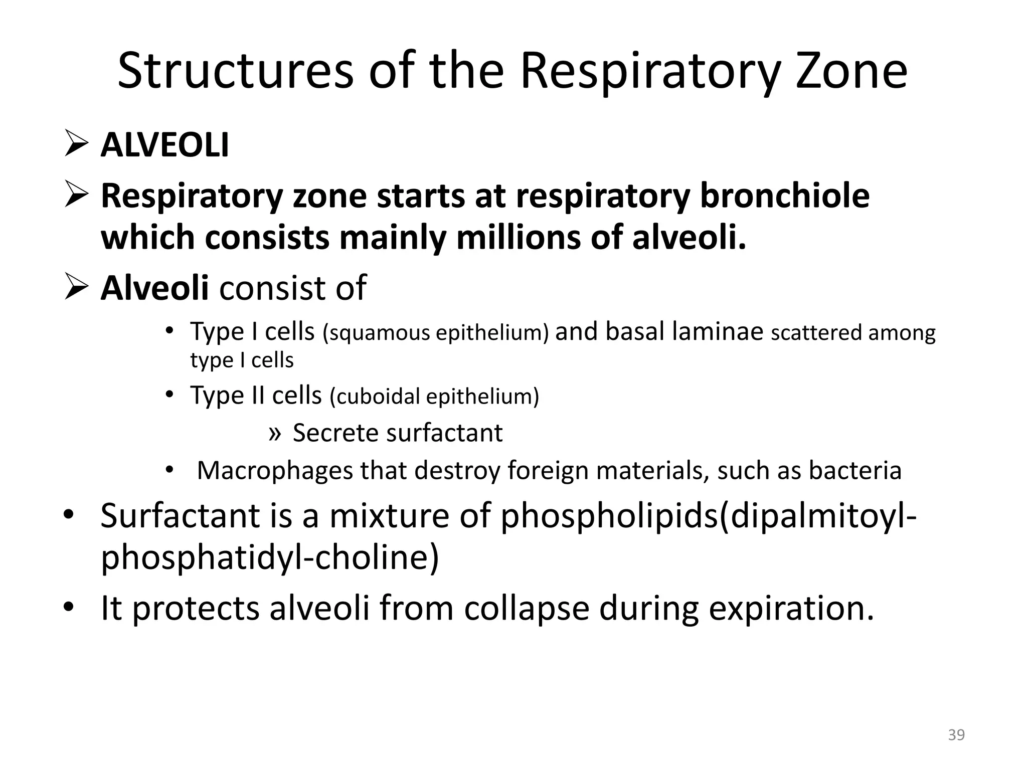 Anatomy of the respiratory system | PPTX