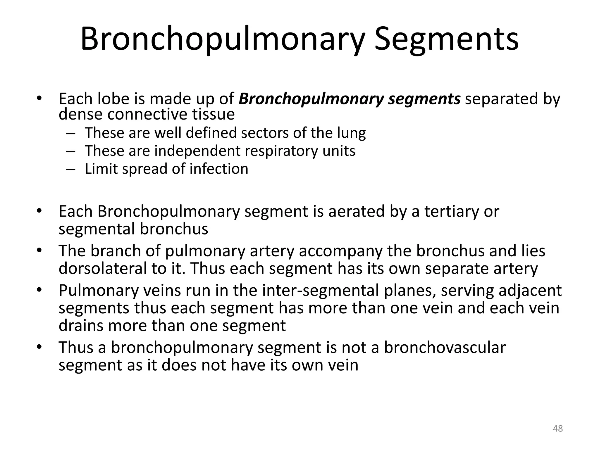 Anatomy of the respiratory system | PPTX