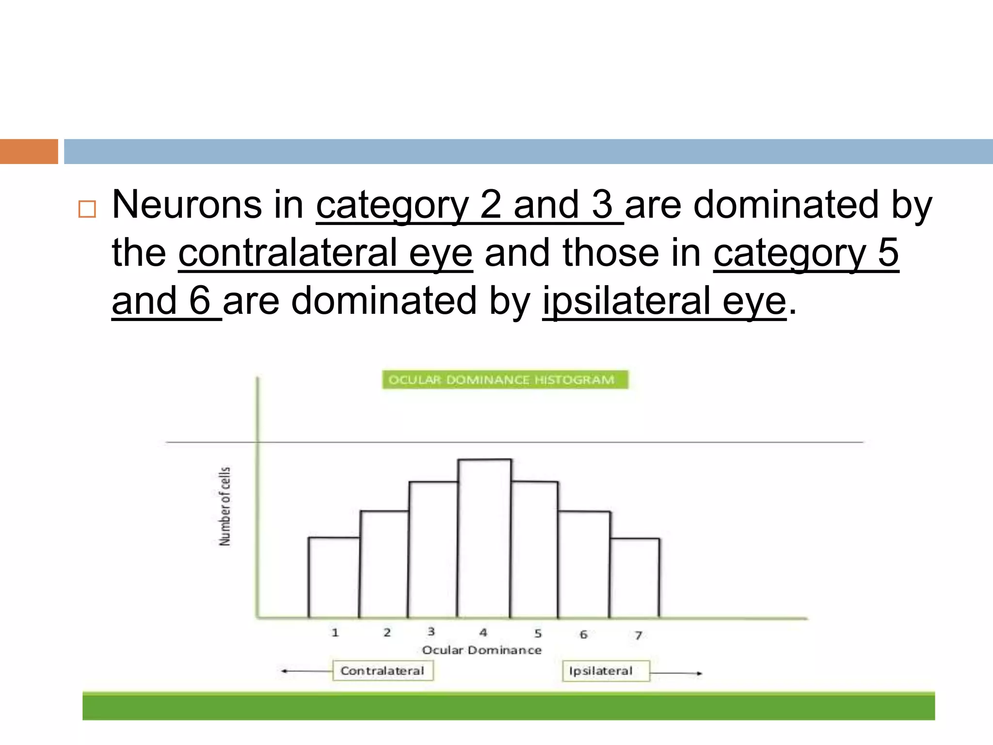 Anand development of vision in children | PPTX