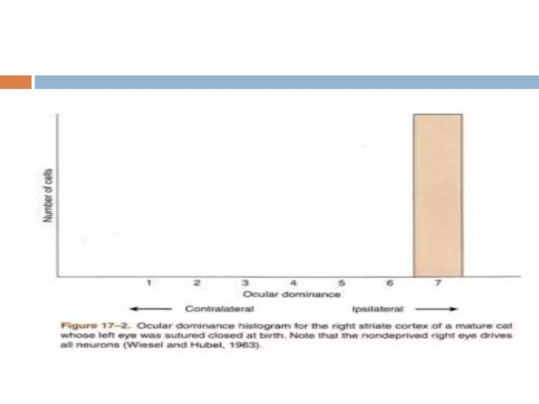 Anand development of vision in children | PPTX