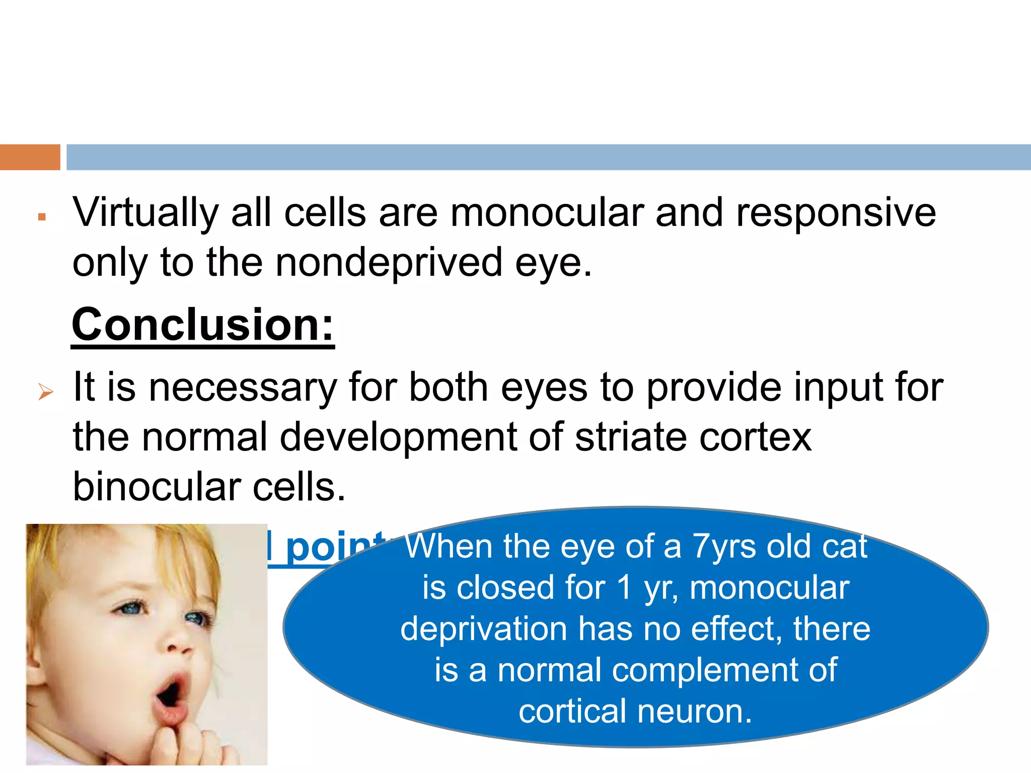 Anand development of vision in children | PPTX