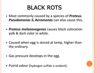 Anand Egg spoilage.pdf BUNDELKHAND UNIVER | PDF